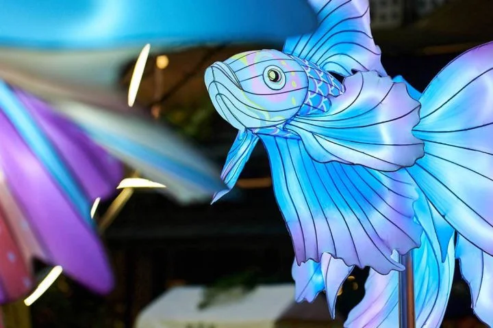 Custom Fish Lantern Art Installations - PaintingLantern