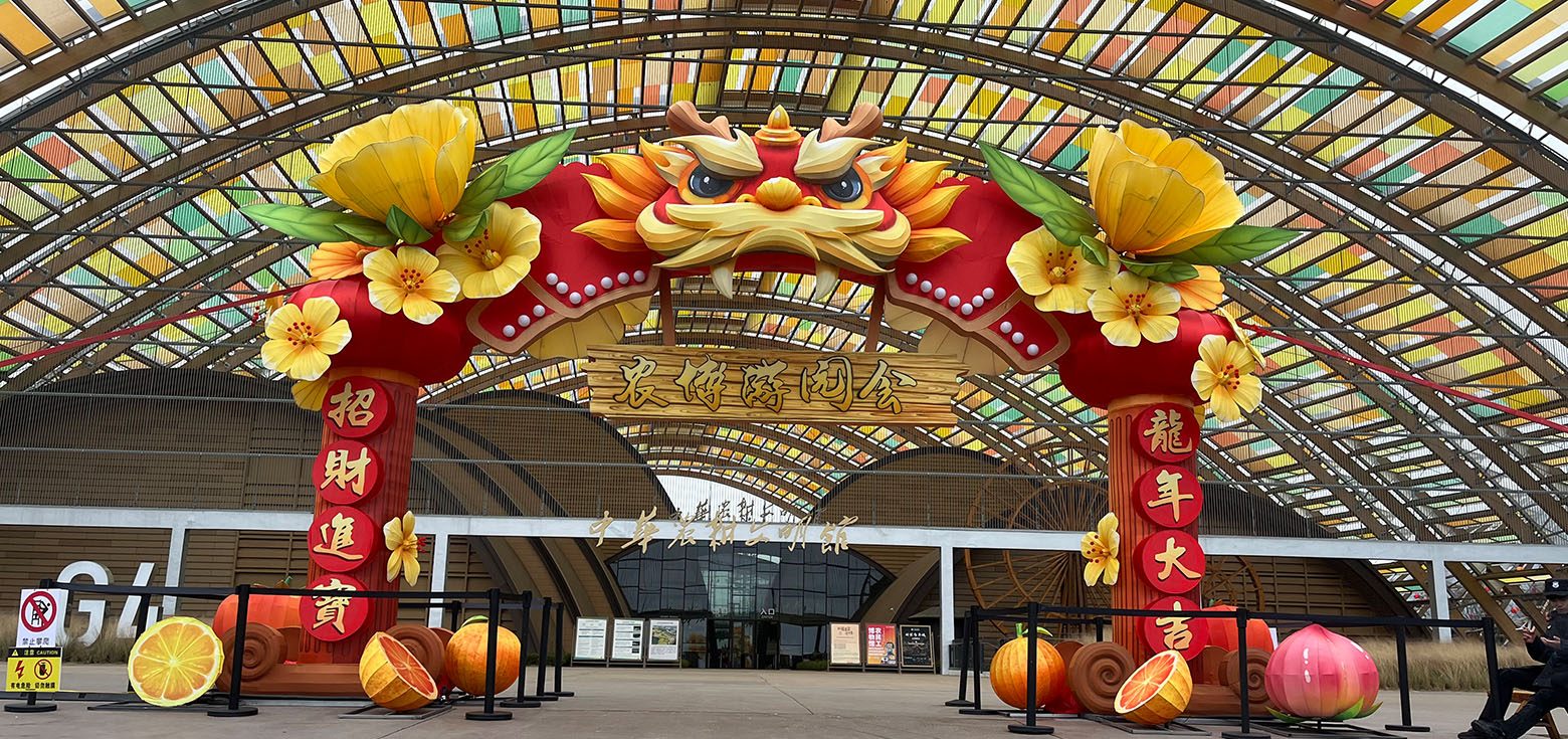 Custom Giant Vegetable New Year Lanterns - PaintingLantern