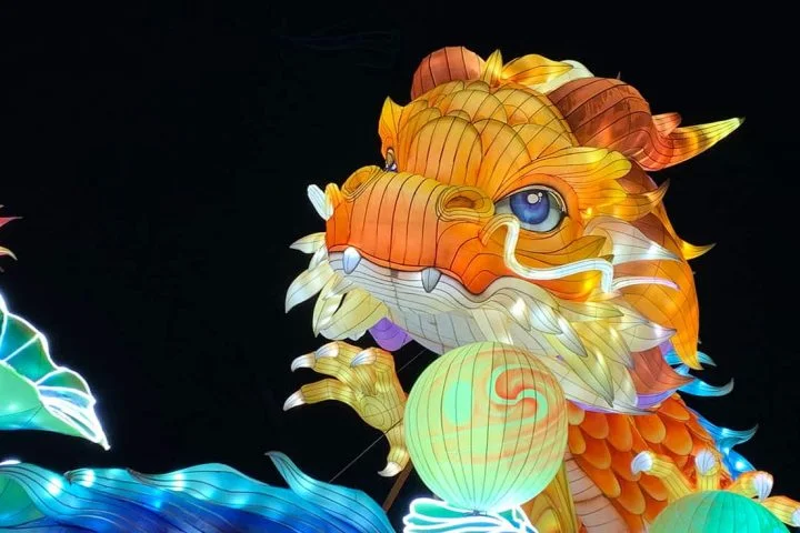 Spectacular 30m Chinese Dragon Lantern Art - PaintingLantern