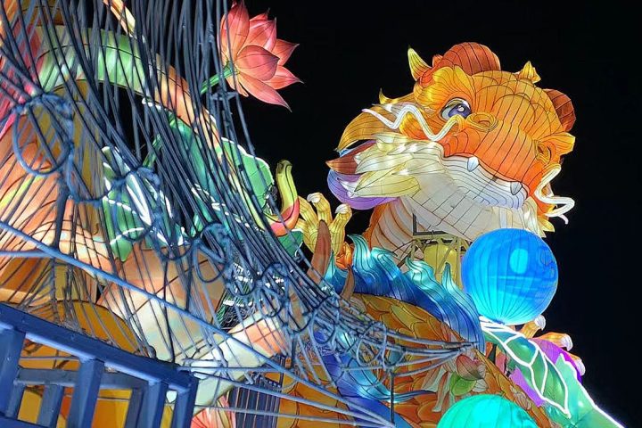 Spectacular 30m Chinese Dragon Lantern Art - PaintingLantern
