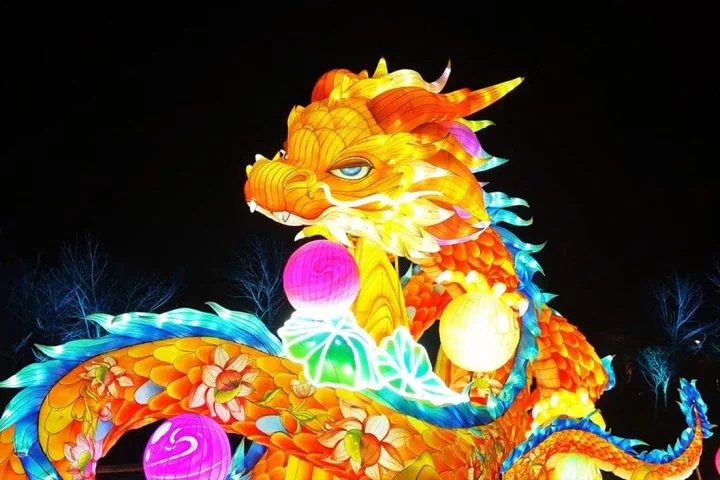 Spectacular 30m Chinese Dragon Lantern Art - PaintingLantern