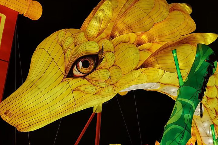 Year of the Snake Lanterns: Myth, Meaning & Custom Design